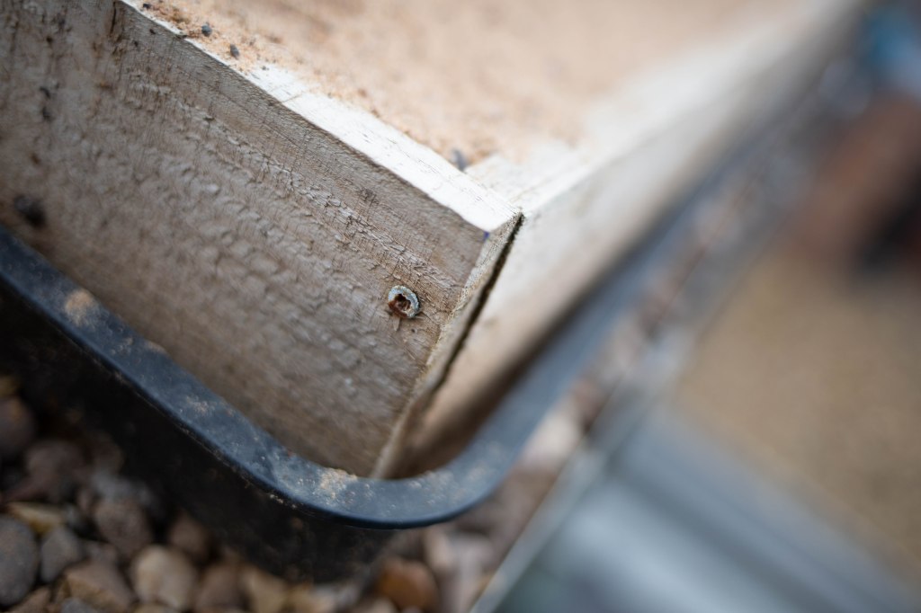 DIY Heated Propagation Bench – My Gardening Journey